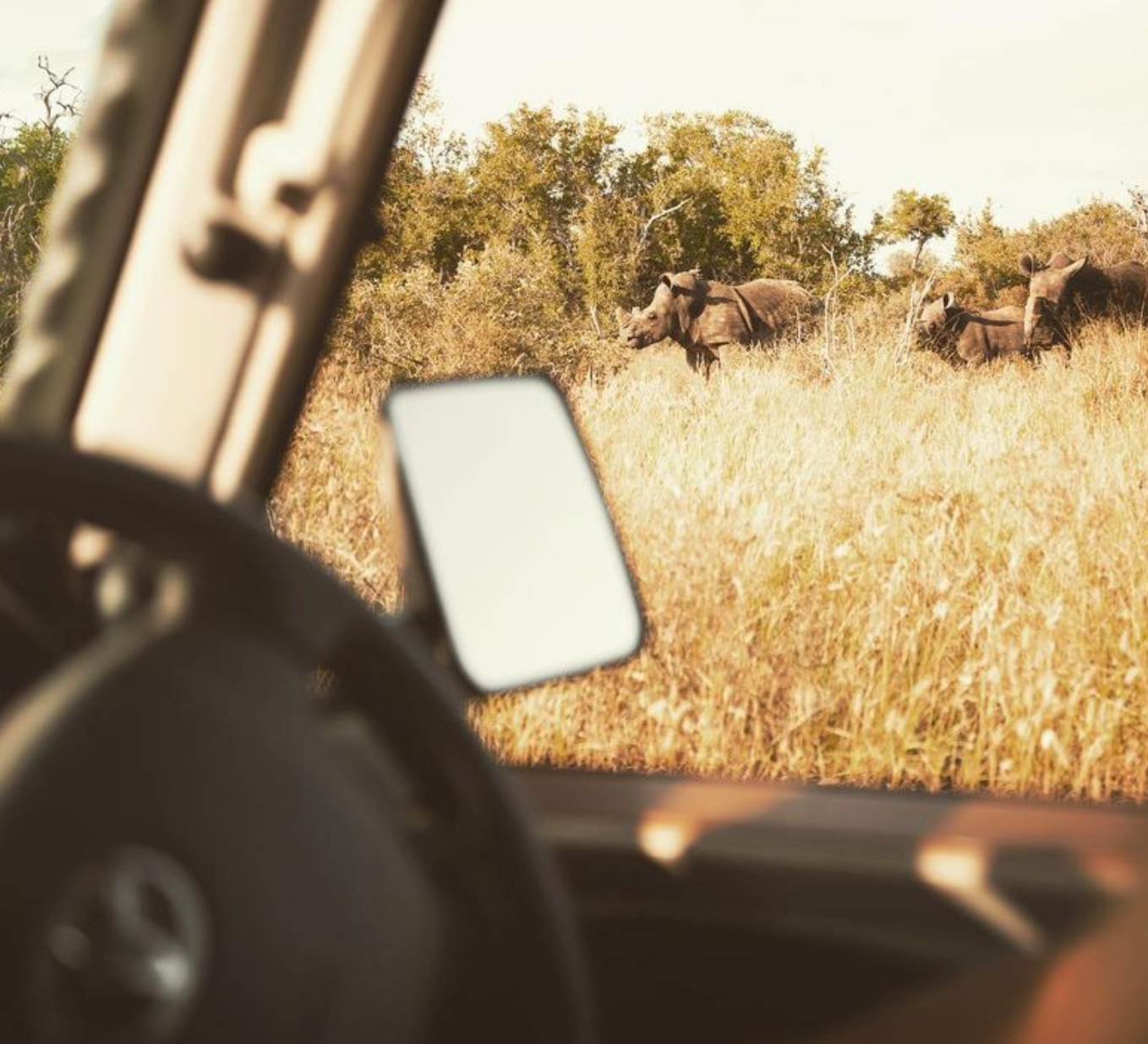 Field Ethos Store – Field Ethos Journal